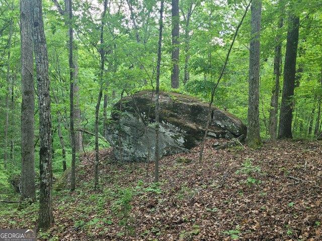 Fincherville Rd Unit Tract, 3, Jackson, GA 30233