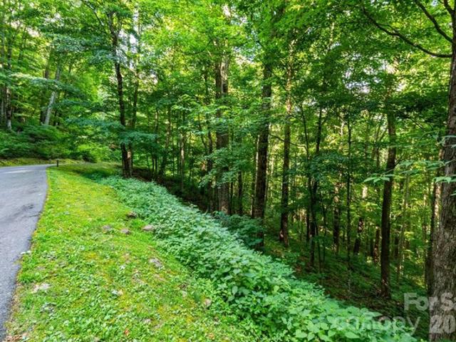 Finlaystone Trce Lot 25, Waynesville, NC 28786