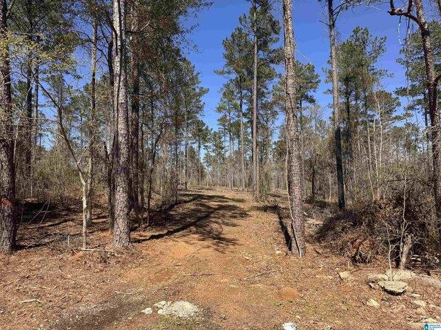 Finnell Rd Lot 0, Northport, AL 35475