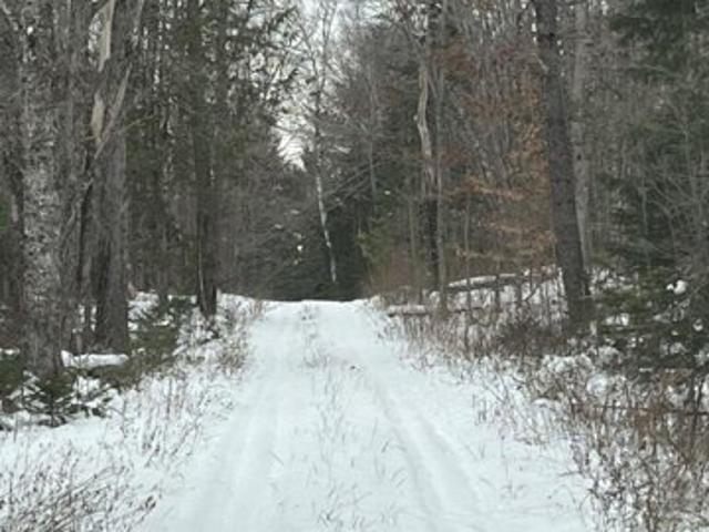 Fickett Rd, Etna, Plot For Sale