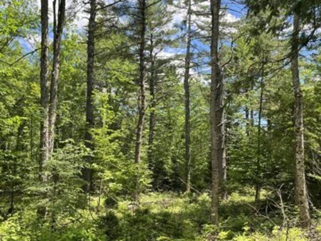 Fickett Rd, Etna, Plot For Sale