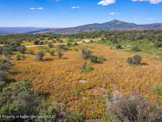 Fiddleneck Dr Lot,craig, Plot For Sale