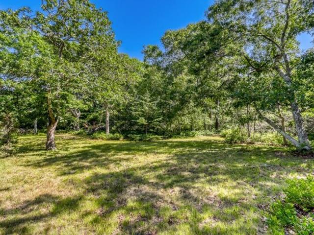 Field View Ln, West Tisbury, Plot For Sale