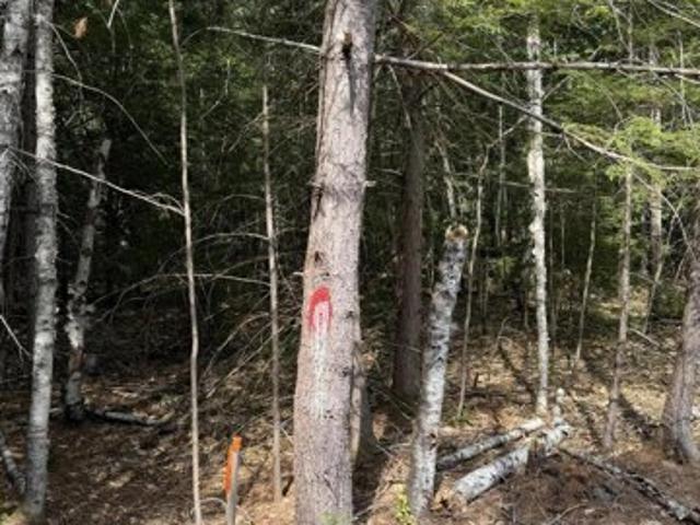 Field View Rd, Fryeburg, Plot For Sale