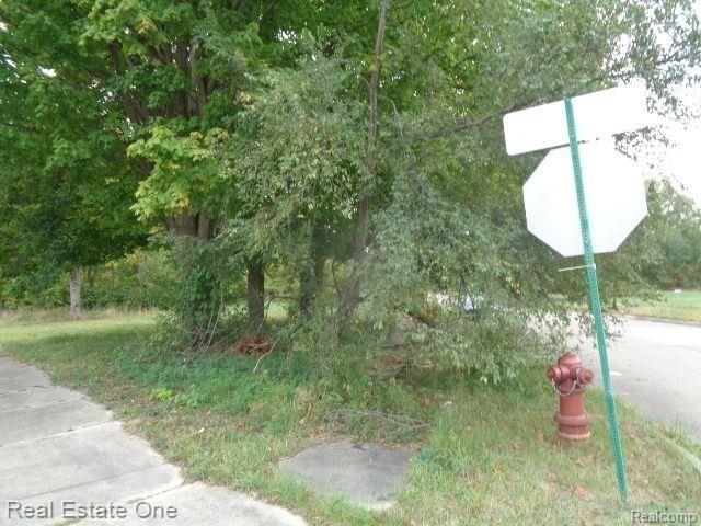 Fielding St, Detroit, Plot For Sale