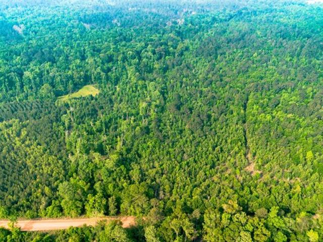 Fields Farm Rd, Millen, GA 30442