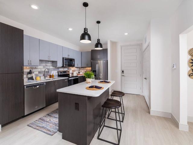 Fifteen15 South Lamar Apartments 1 Bedroom Apartment for Rent at 1515 S Lamar Blvd, Austin, TX 78704 Zilker