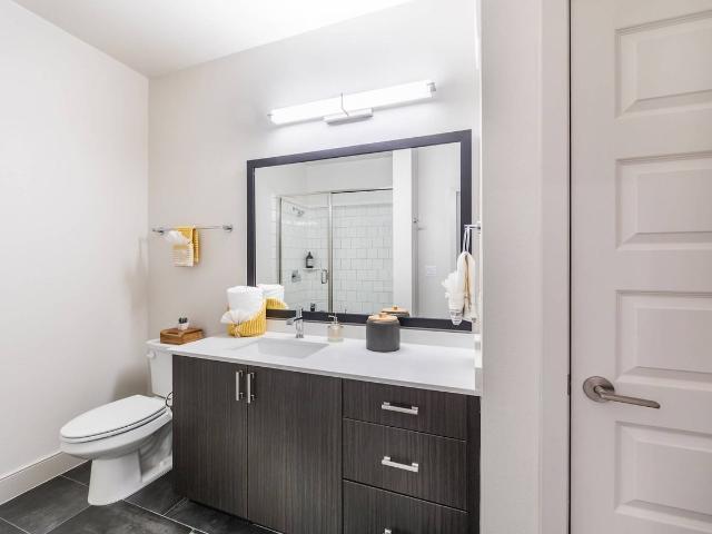 Fifteen15 South Lamar Apartments Studio Apartment for Rent at 1515 S Lamar Blvd, Austin, TX 78704 Zilker