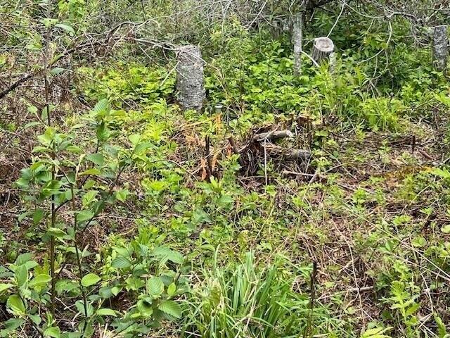 Fifth Ave Lot, Pembroke, Plot For Sale