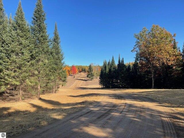 Fife Lake MI 49633 88713929