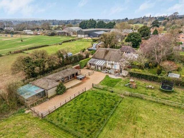 Fig Tree Cottage, Blendworth, Equestrian Facility For