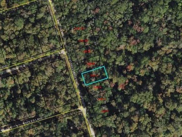 Fig Tree Ln Lot 7, Crawfordville, FL 32327
