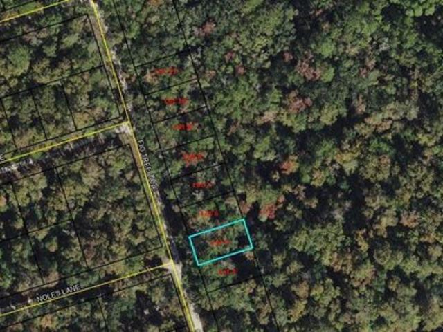 Fig Tree Ln Lot 5, Crawfordville, FL 32327