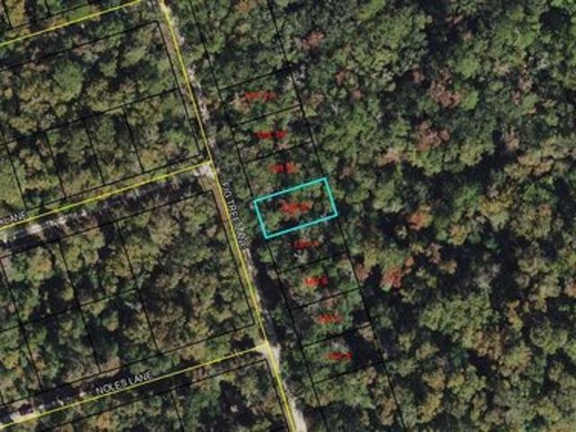 Fig Tree Ln Lot 8, Crawfordville, FL 32327