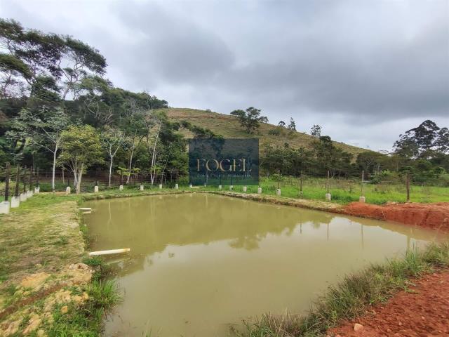 Filgueiras 1800m² Excelente Terreno Plano em Condomínio