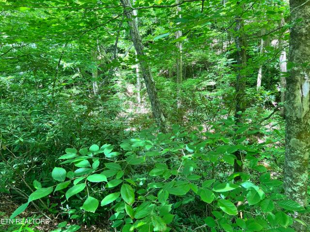 Fir Drive Lot 110, Sevierville, TN 37876