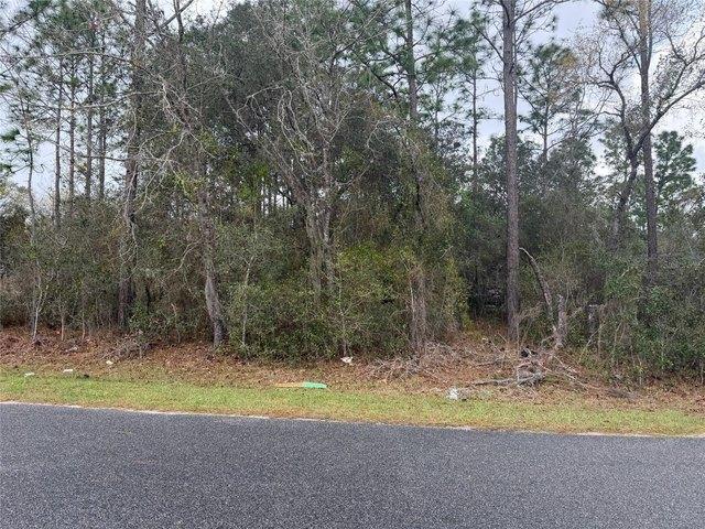 Fir Drive Trak, Ocala, FL 34472