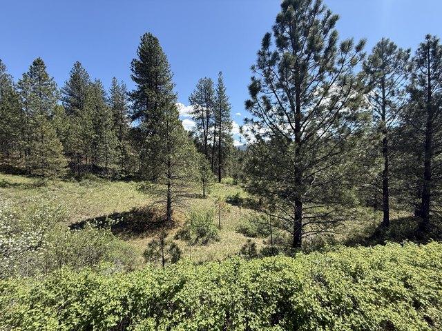Fir Ln, Curlew, WA 99118