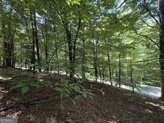 Fir Ln Lot 3469, Ellijay, GA 30540