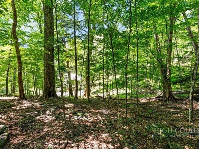 Fire Pink Rd Lot 50, Boone, NC 28607