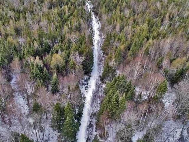 Fire Rd Lot A, Linneus, Plot For Sale