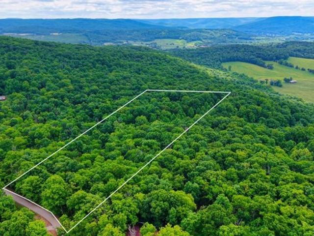 Fire Tower Rd, Sparta, TN 38583