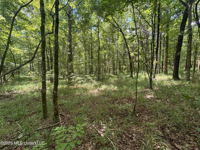 Firetower Road, Camden, MS 39045