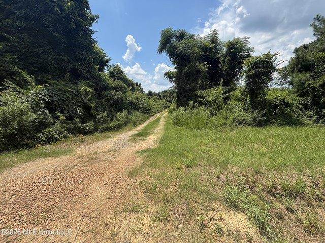 Firetower Rd, Camden, MS 39045