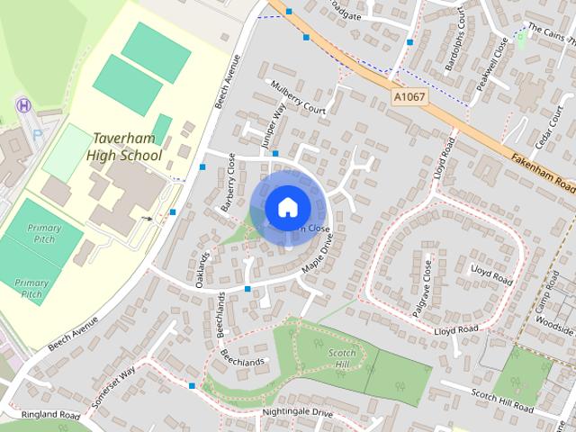 Firethorn Close, NR8