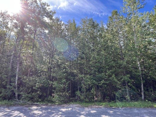 Firhaven Ct Lot 40, Presque Isle, MI 49777