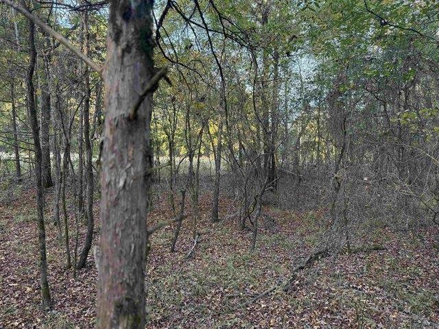 First St Lot 3, Bald Knob, AR 72020