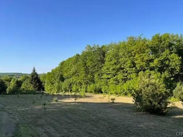 Fish Hill Rd #8, Willet, NY 13863 MLS# S1541336