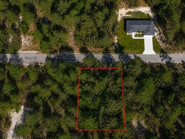 Fisher Crse, Ocklawaha, FL 32179