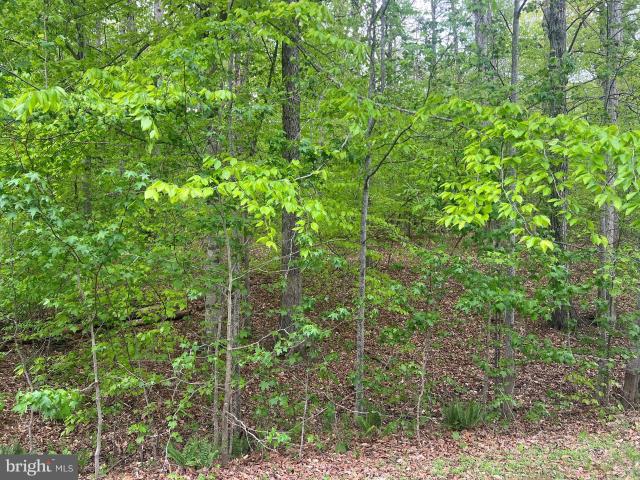 Fisher Dr, Mineral, VA 23117 | MLS #VALA2009 | Compass