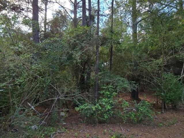 Fisher Dr, Tomball, TX 77377
