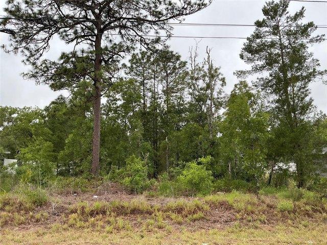Fisher Lane Ter, Ocklawaha, FL 32179