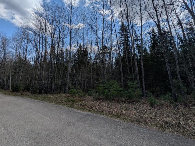 Fisher road