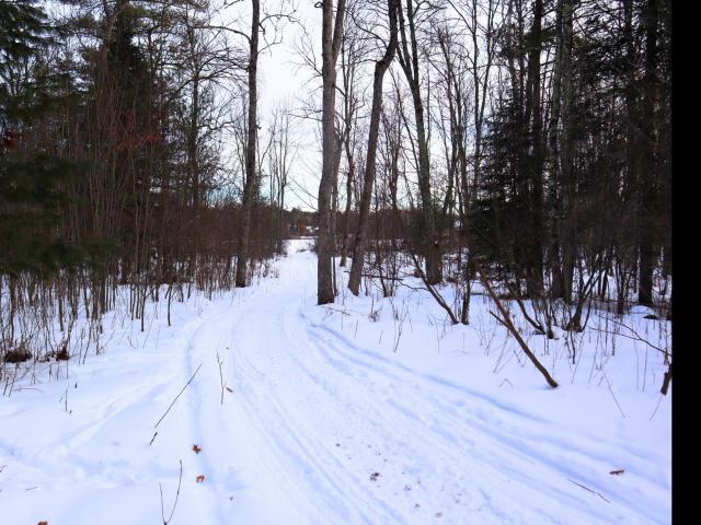 Fisher road