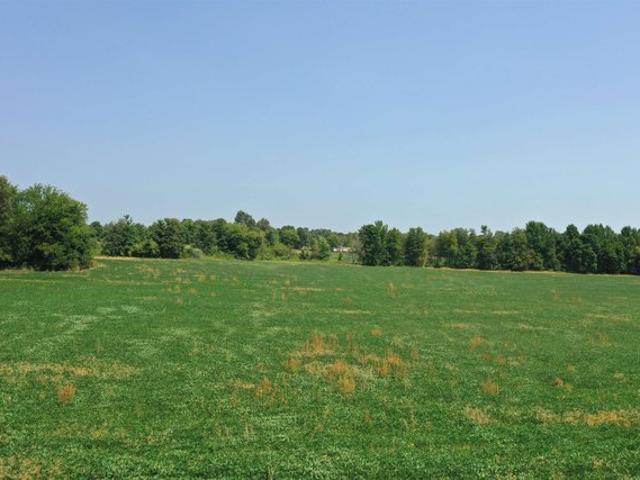 Fisher Rd, West Paducah, KY 42086
