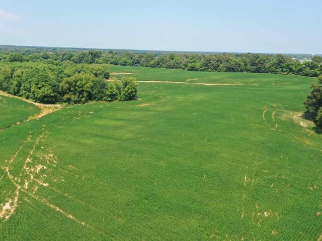 Fisher Rd, West Paducah, KY 42086
