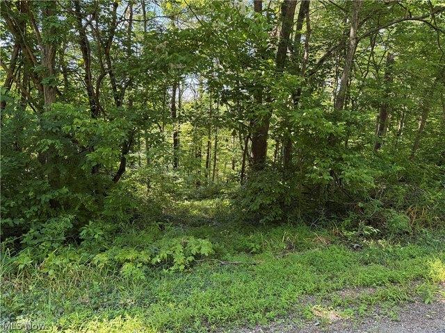 Fisher Ridge Rd # 6, Fleming, OH 45729