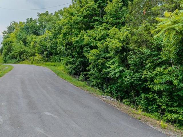 Fishtail Cv Lot 35, Dandridge, TN 37725