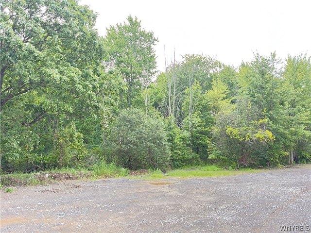Fisk Rd N, Lockport, NY 14094