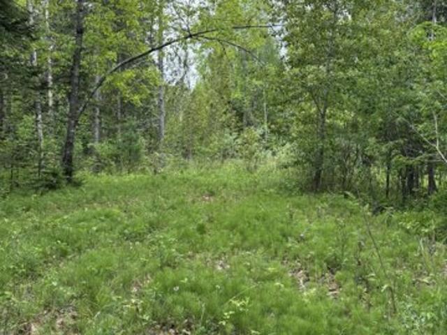 Fitz Rd Unit, Kenduskeag, Plot For Sale