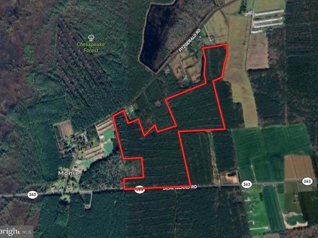 Fitzgerald Rd, Princess Anne, MD 21853