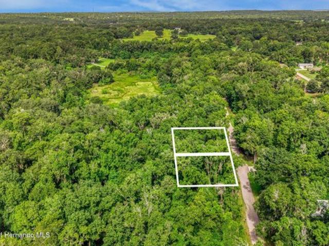 Fitzhugh Ave, Brooksville, FL 34601