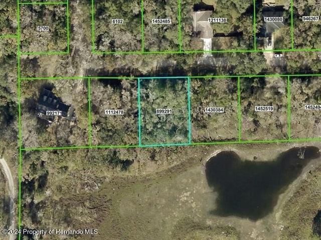 Fitzhugh Ave, Brooksville, FL 34601