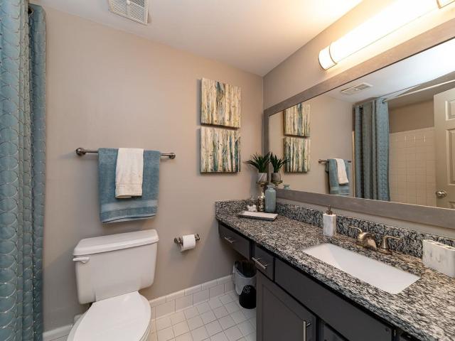 Fitzroy Louisville 2 Bedroom Apartment for Rent at 79 Highwood Pl, Louisville, KY 40206 Clifton Heights