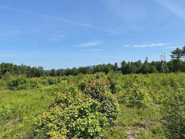 Fitzwilliam NH 03447 LS102447562