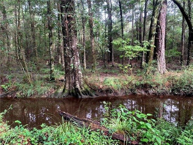 Five Acre Farms Lot 24, Mandeville, LA 70471